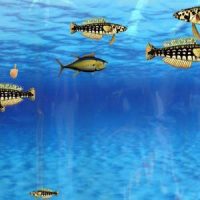 Best JavaScript for Kids Course - How to Code Video Games